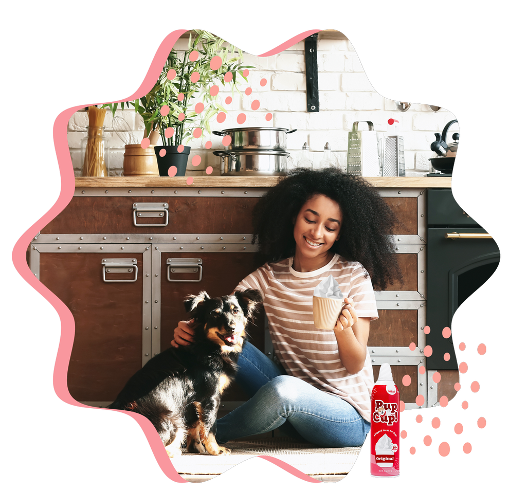 Pup Cup - Whipped Cream Treat for Dogs